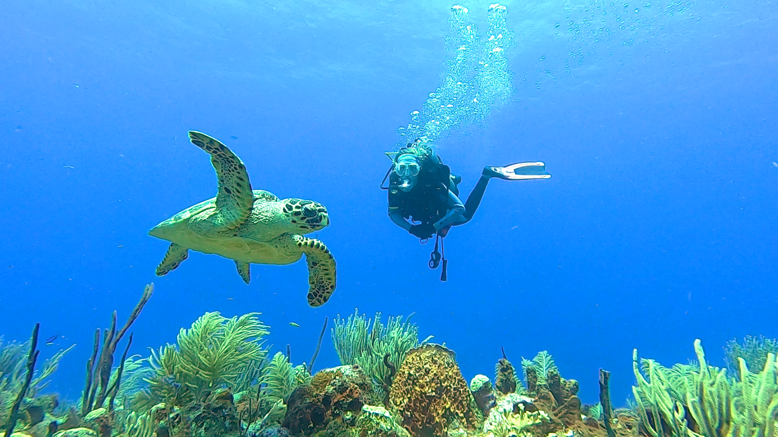 Saint Eustatius - The Golden Rock - SV One Life